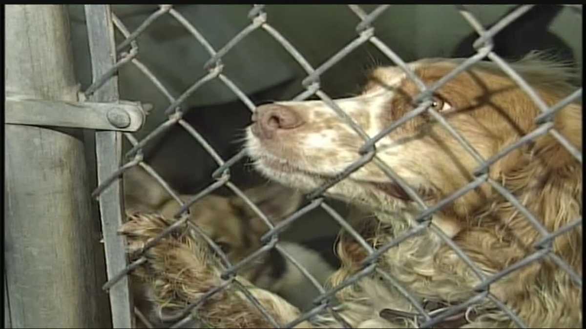 19 counties in crisis for pet population control