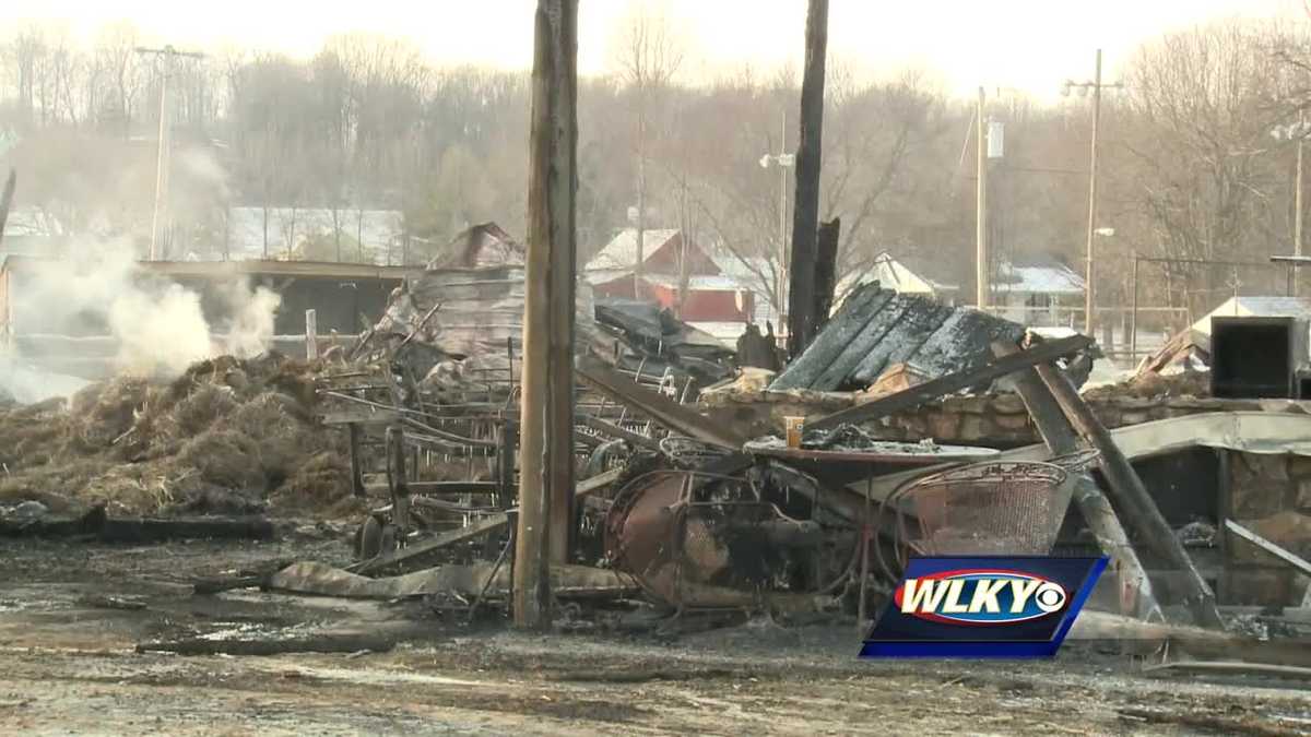LMPD horse among 5 killed in Hardinsburg barn fire