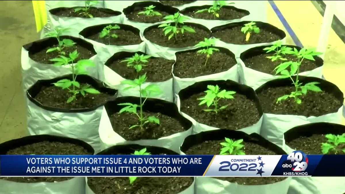 Voters who support Issue 4 and voters against the Issue met in Little ...