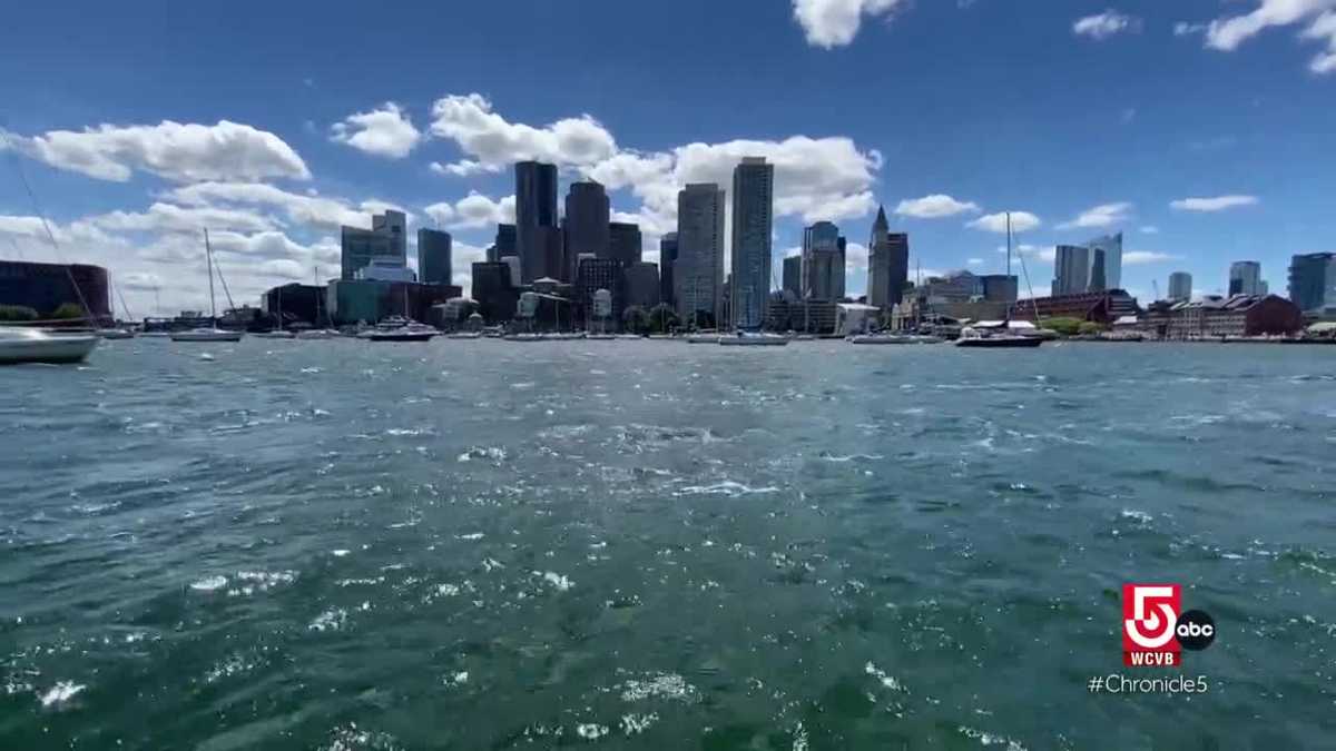 Cruising Boston Harbor on an electric boat, and an immersive experience ...