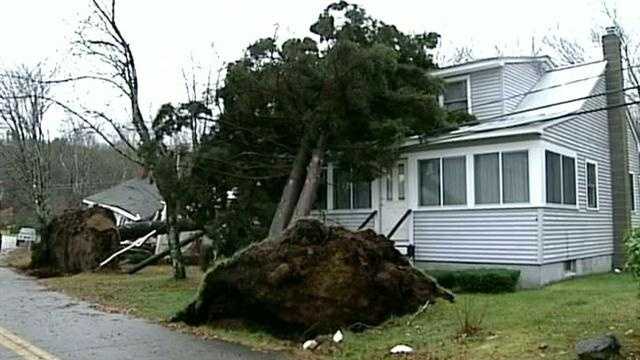 Microburst sends trees into houses