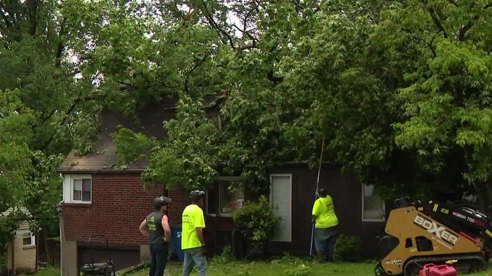 Tree comes down on house in Penn Hills