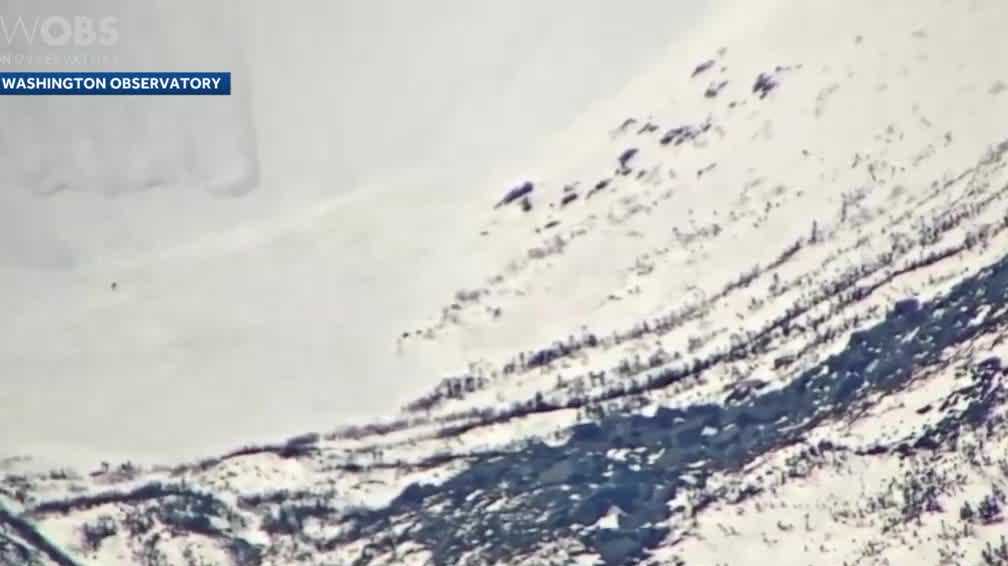 Snowboarder narrowly escapes avalanche in Tuckerman Ravine