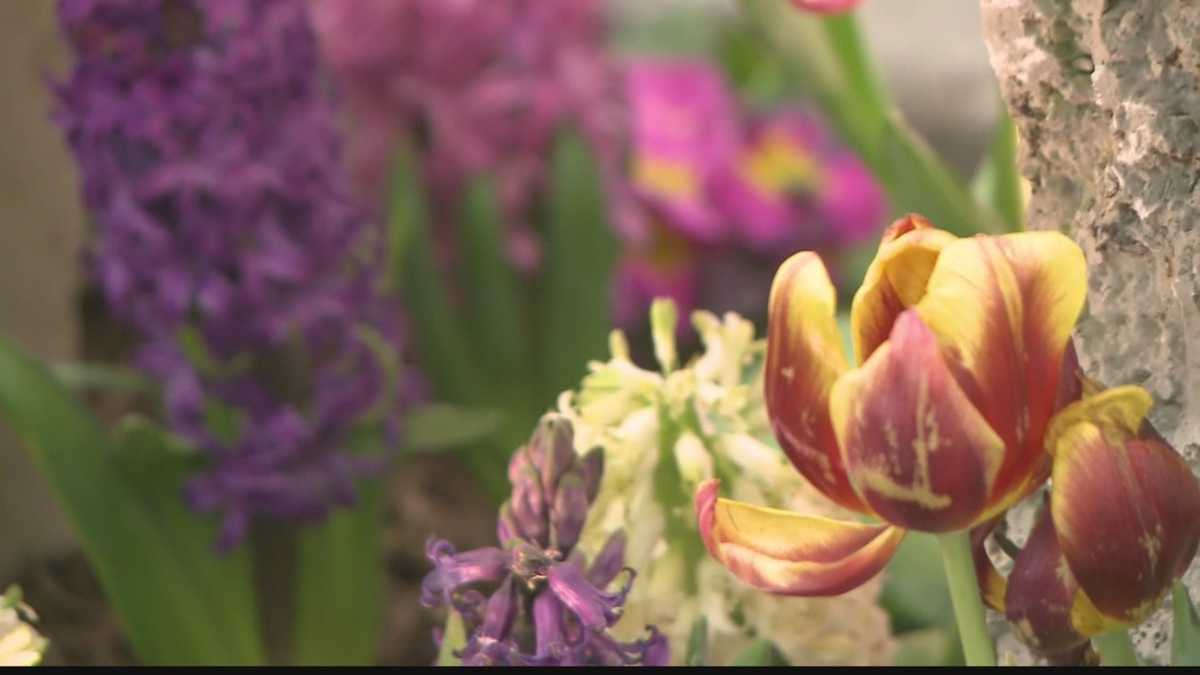 Signs of warmer days happen around the city