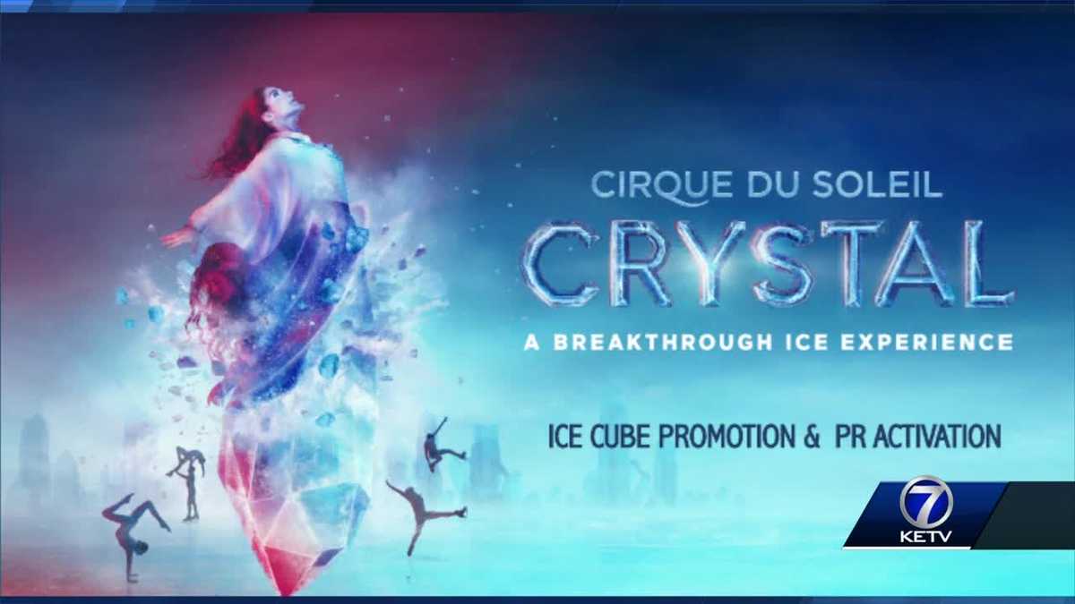 MECA upcoming events