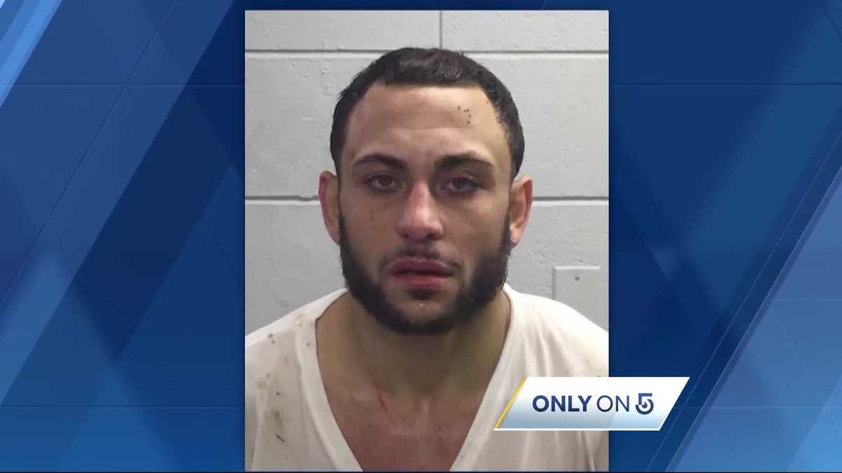 Fugitive arrested after 'violent struggle' with police