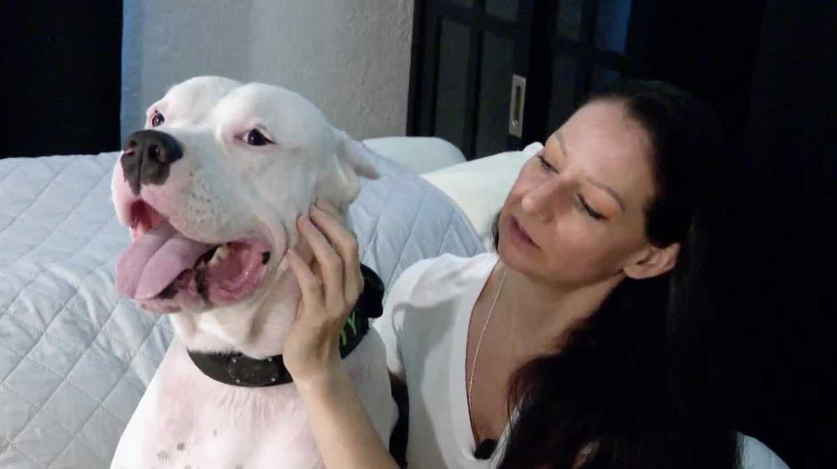 Brevard dog owner cited after reported attack at Canova Beach