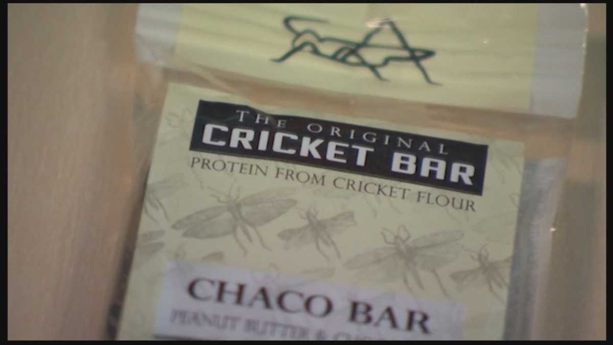 Consumer Reports: Taste testing cricket cookies