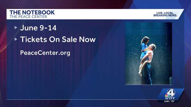 Broadway actor returns to South Carolina for 'The Notebook'