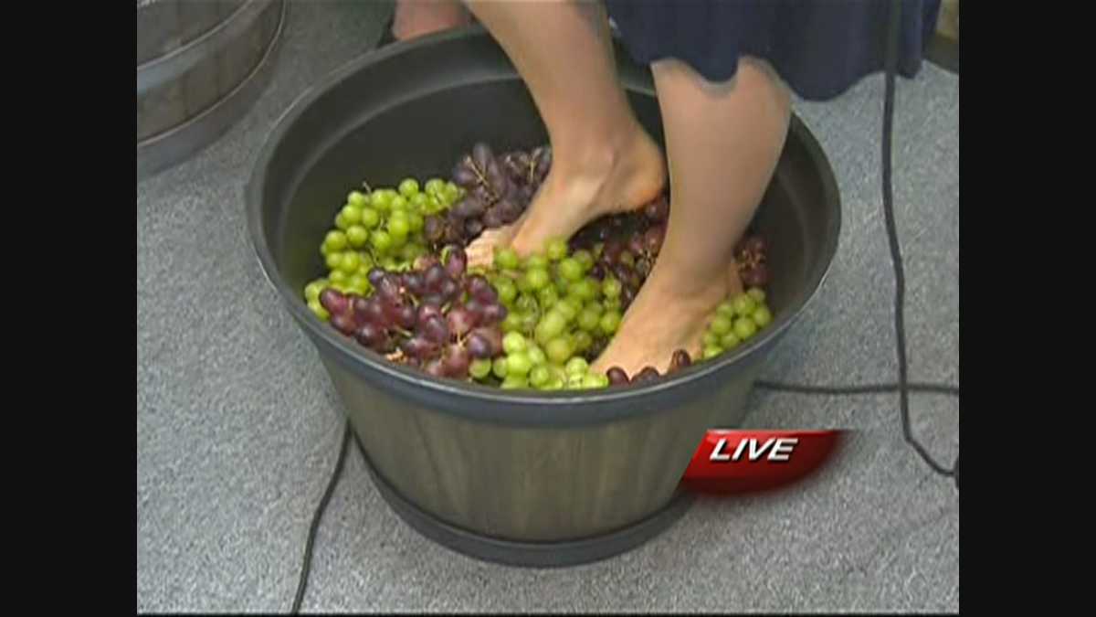 Ava stomps grapes for Hunt Valley wine fest