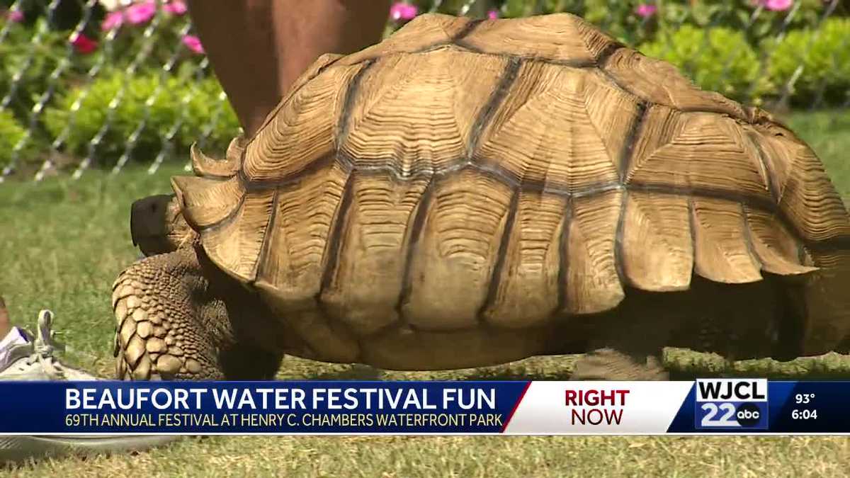 69th Annual Beaufort Water Festival gets underway - WJCL