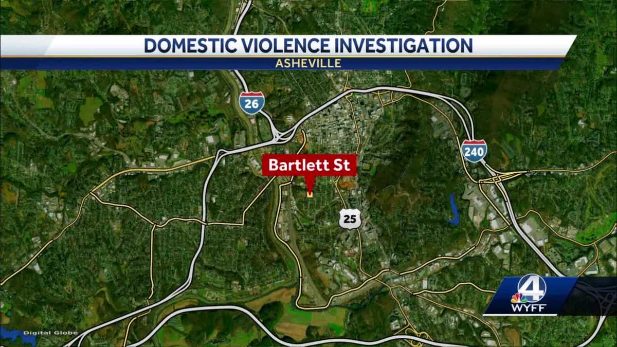 Asheville Man Arrested Intentionally Crashing Into Police Car