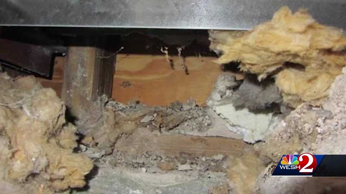 An environmental engineering company said it found mold, water ...