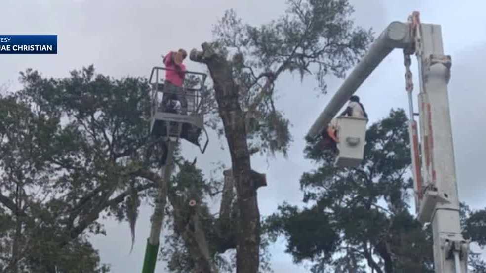 Brevard County man survives vicious bee attack, stung more than 100 times