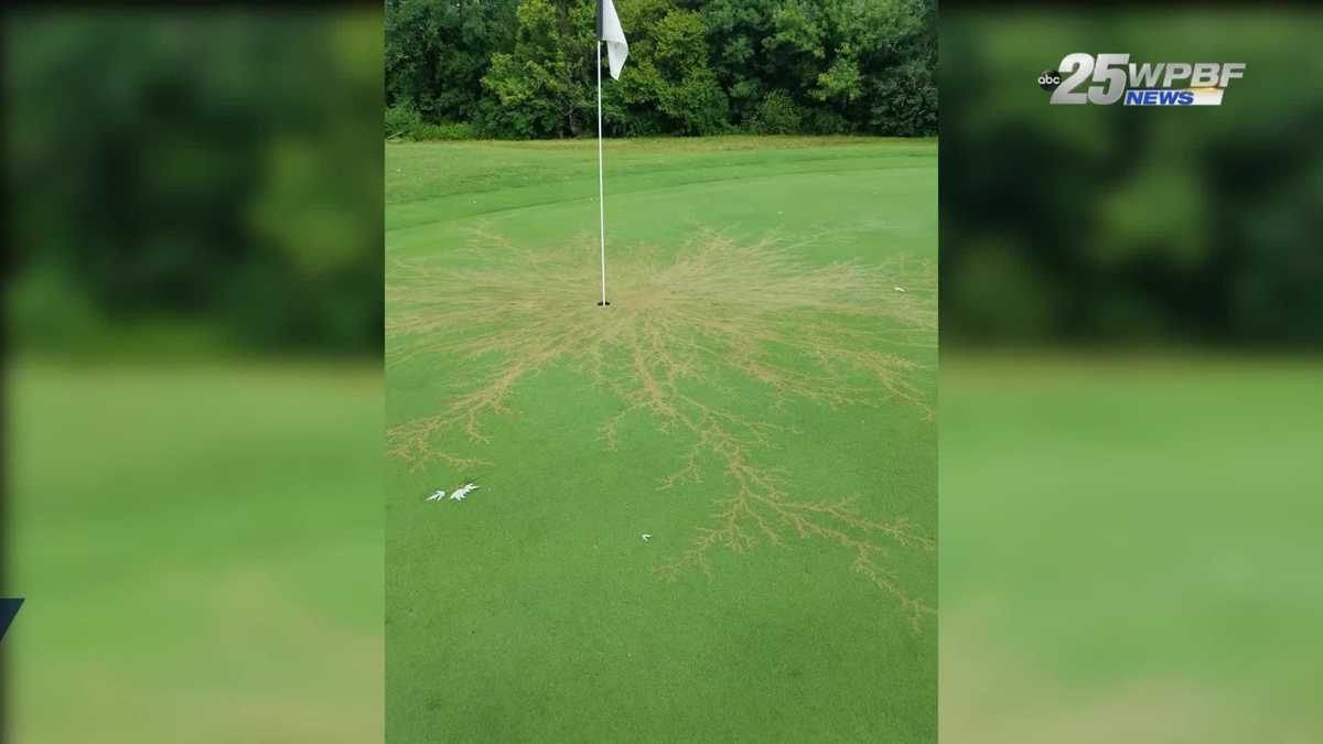 Lightning bolt leaves mark on golf course