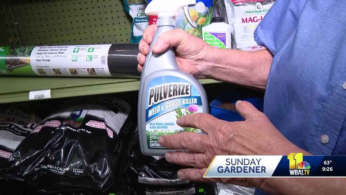Sunday Gardener: Making weeding easy