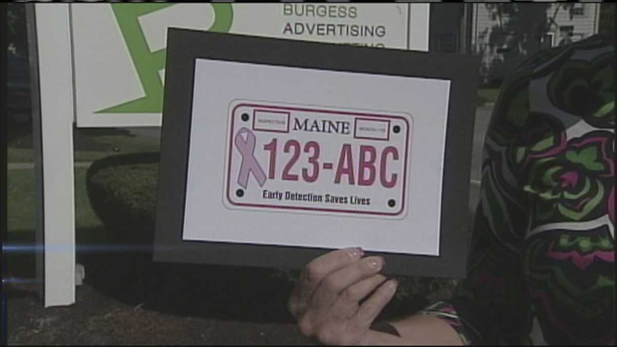 Former lawmaker working to create breast cancer motorcycle vanity plate