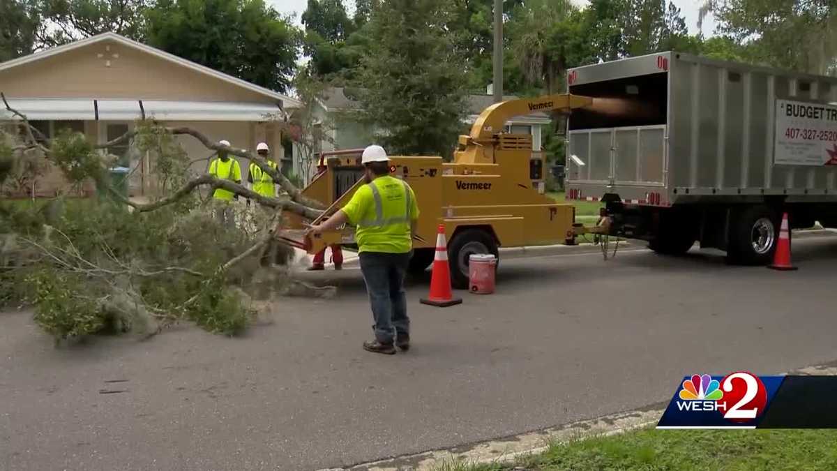 Trim trees now ahead of hurricane season, experts say