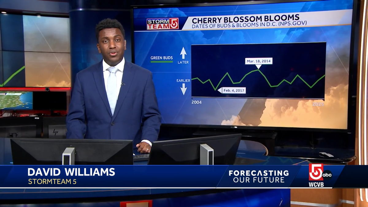 Forecasting Our Future: Cherry Blossom Season