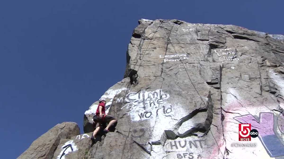 Dirt from the Big Dig filled in the Quincy Quarries and created the ...