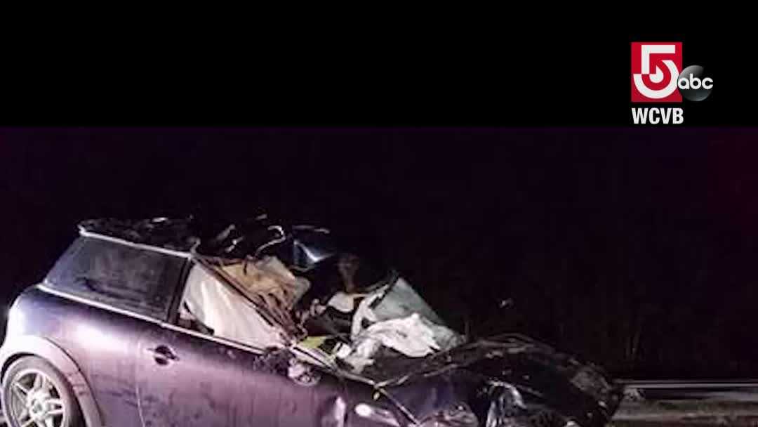 Mini Cooper crashes into moose