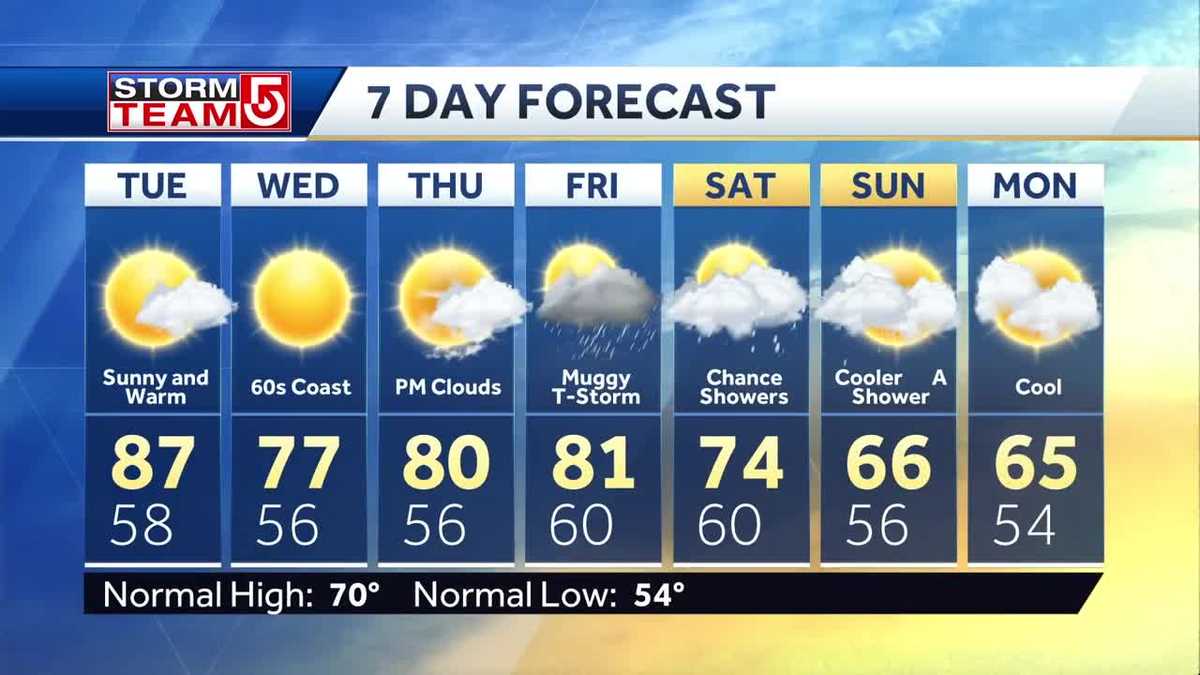 Video: Summer warmth is back
