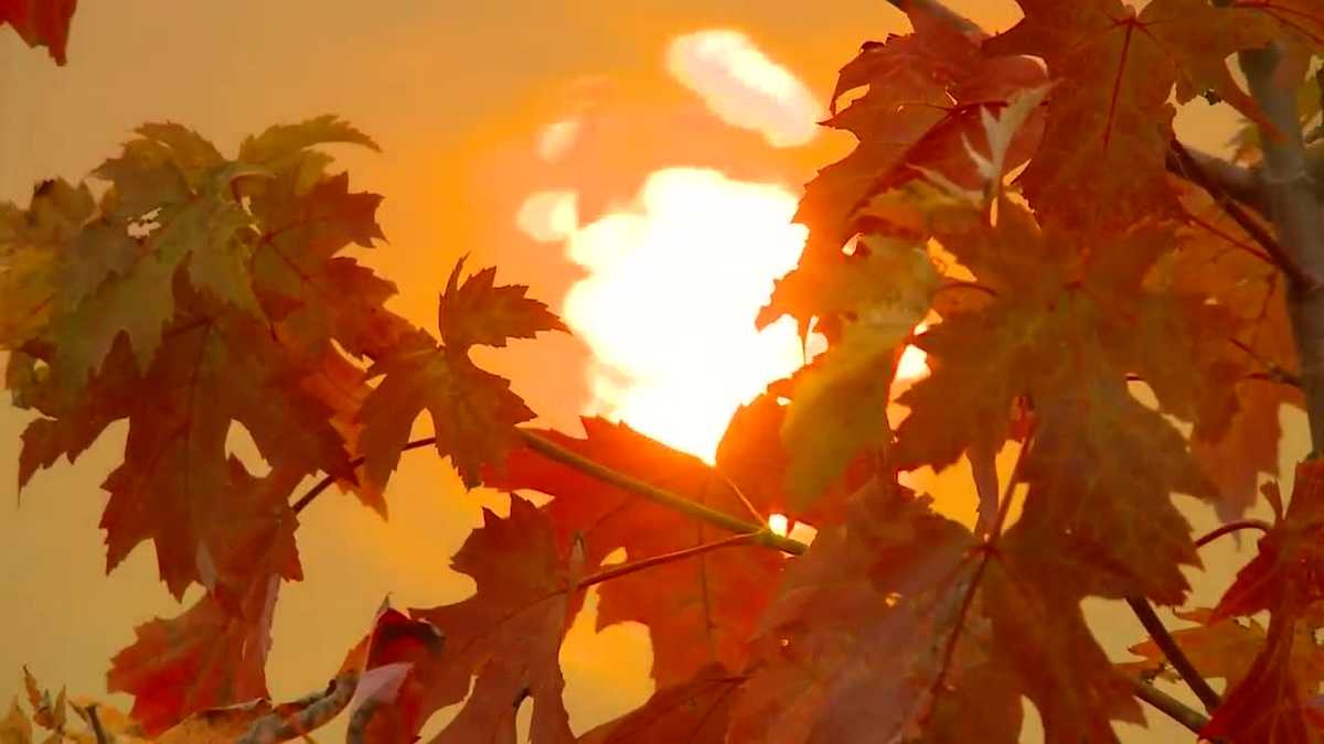 KCCI's Cortney Kintzer: Nature prepares for the end of summer
