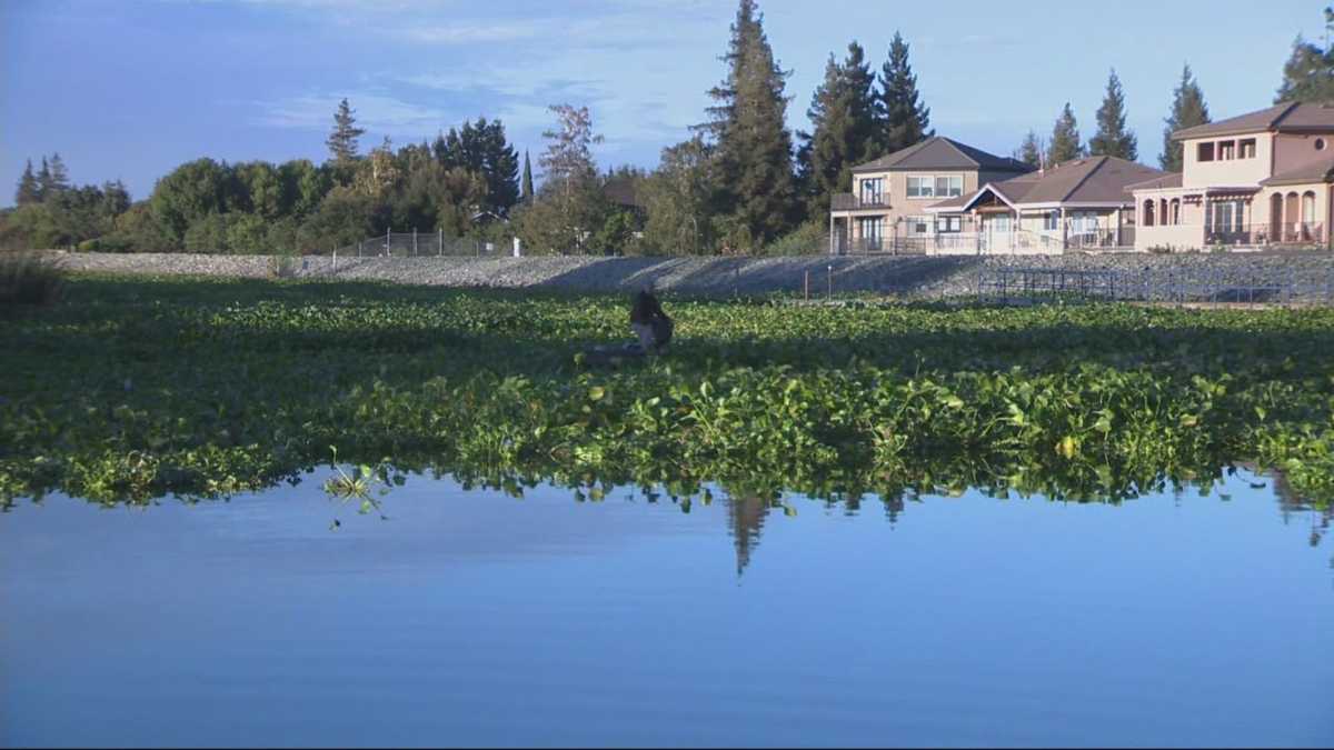 Are clogged waterways a threat to safety, security?