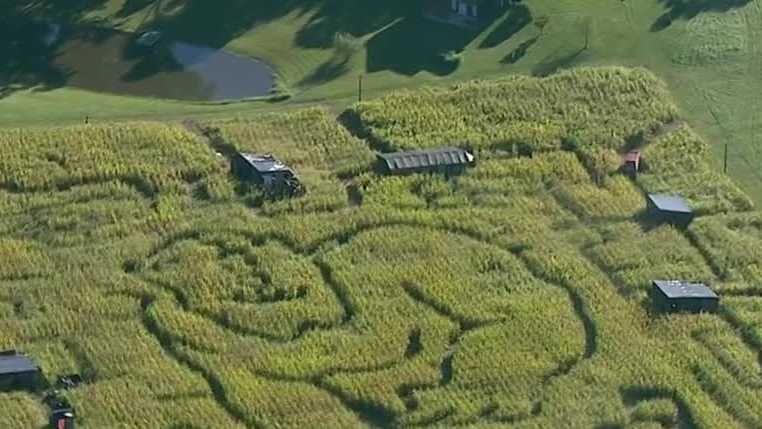 LOOK: 'Haunted' corn maze in Kentucky designed into giant cyclops