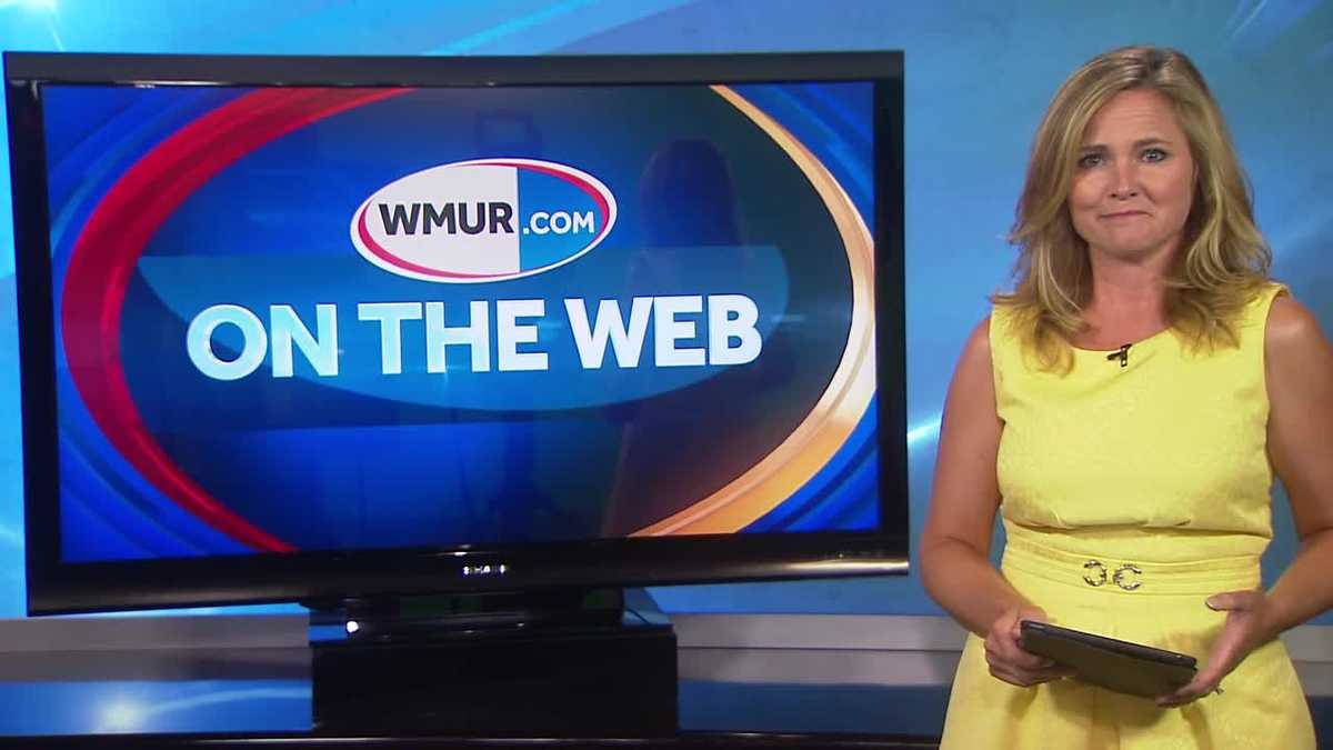 Watch: Morning Webcast August 2nd