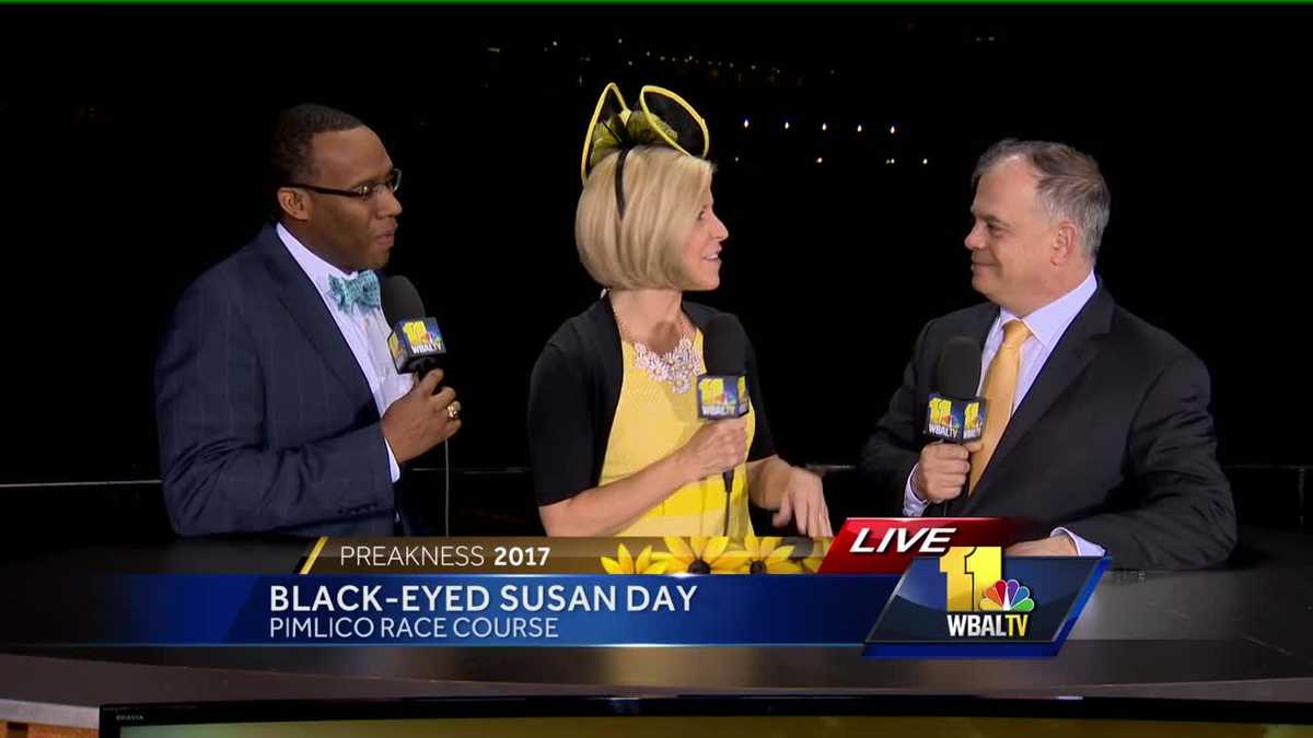 Video: Previewing Black-Eyed Susan Day