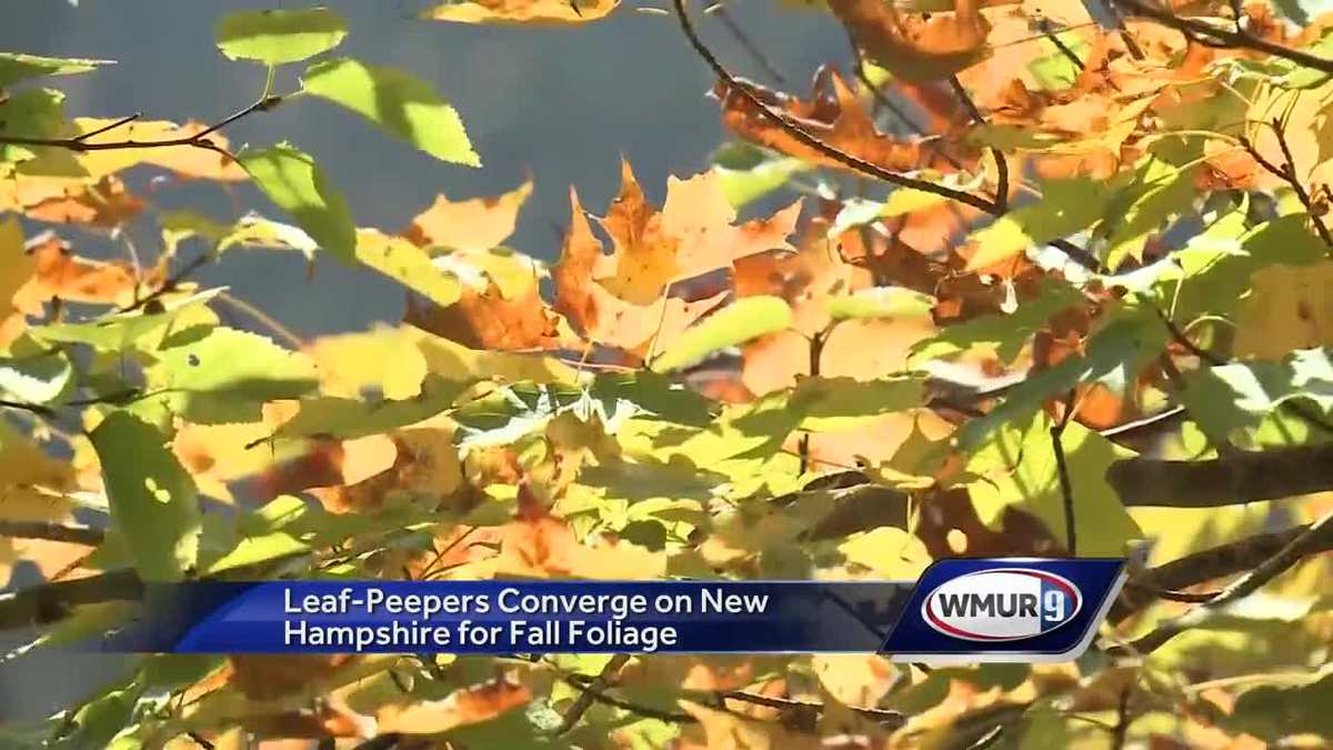 Early leaf-peepers visit NH