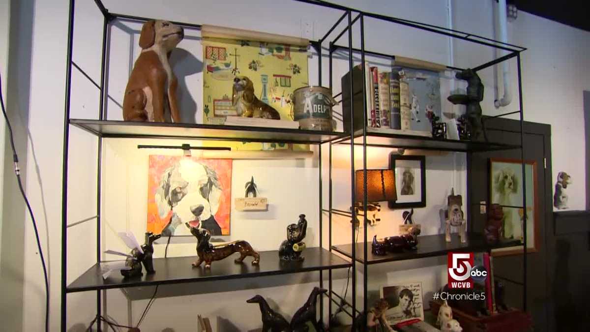 Unleash at the Museum of Dog