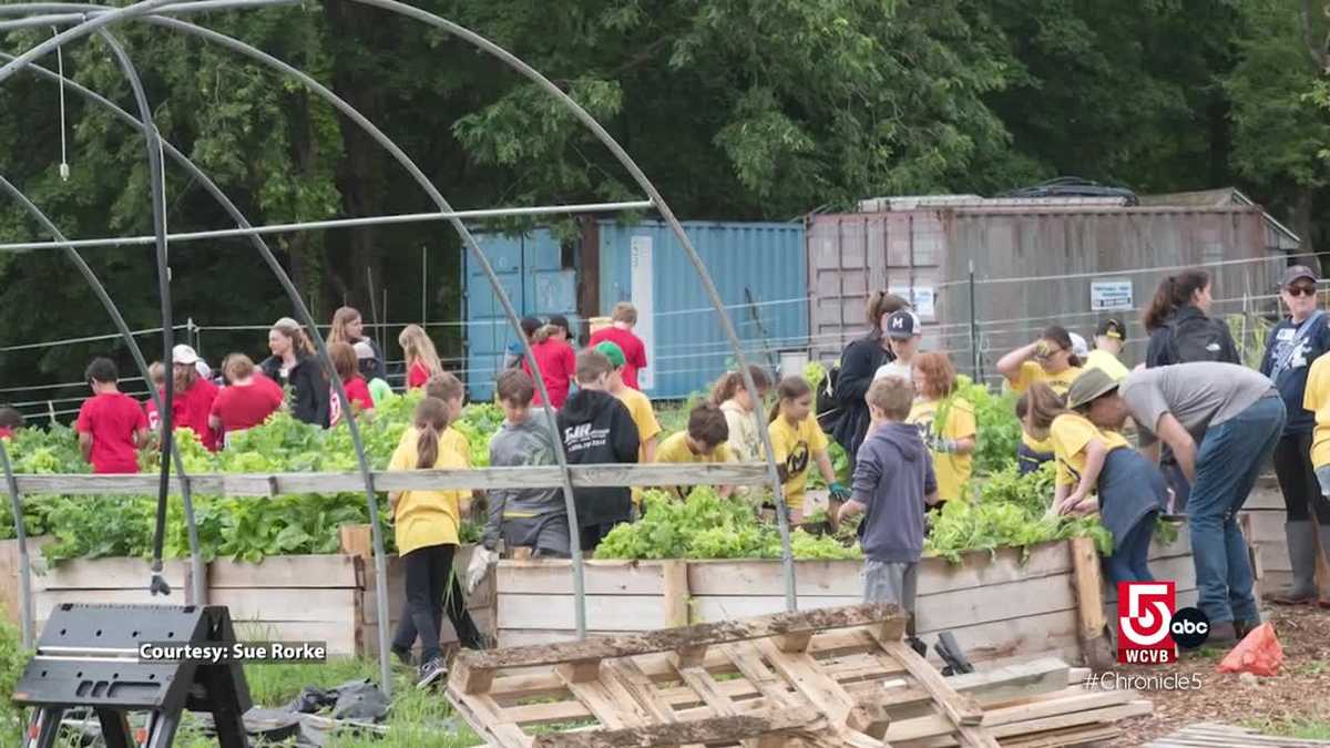 Medway: From farm town to economic hub