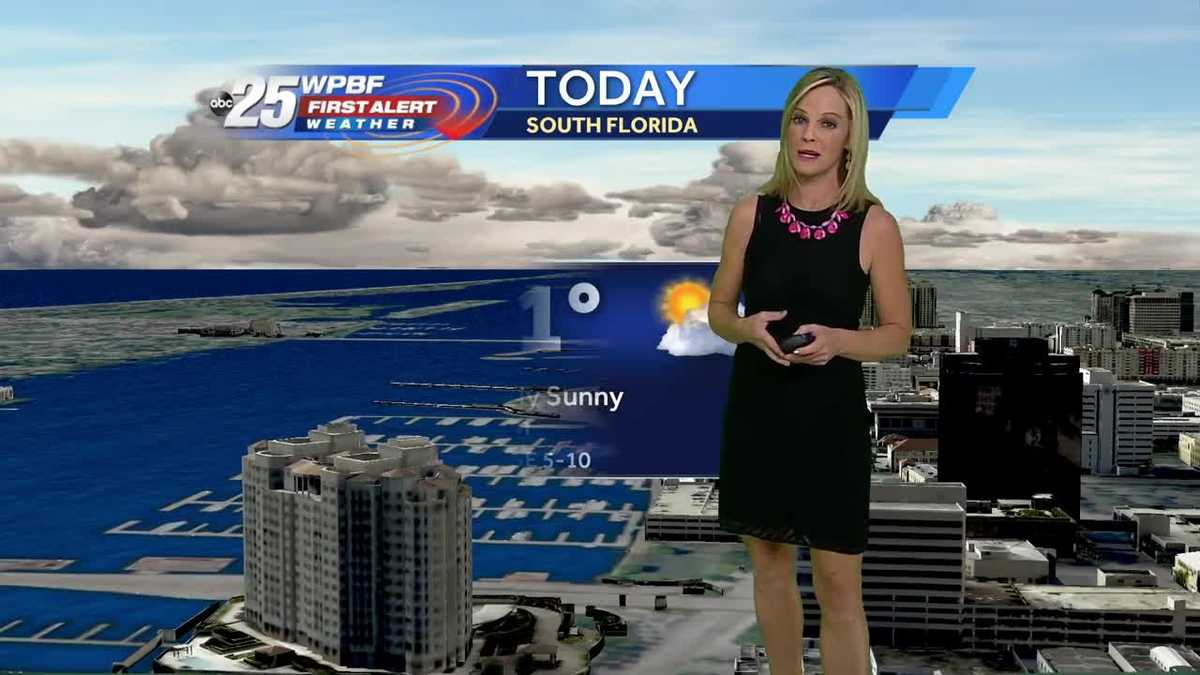 Sandra Shaw's Video Forecast