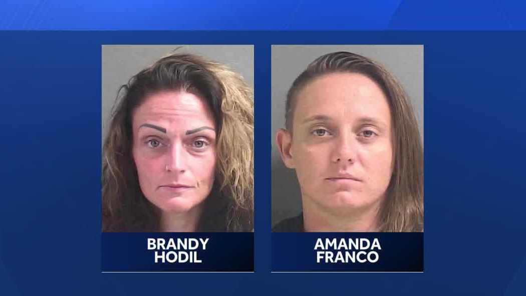 New Ring videos, evidence in deadly DeLand dog attack case