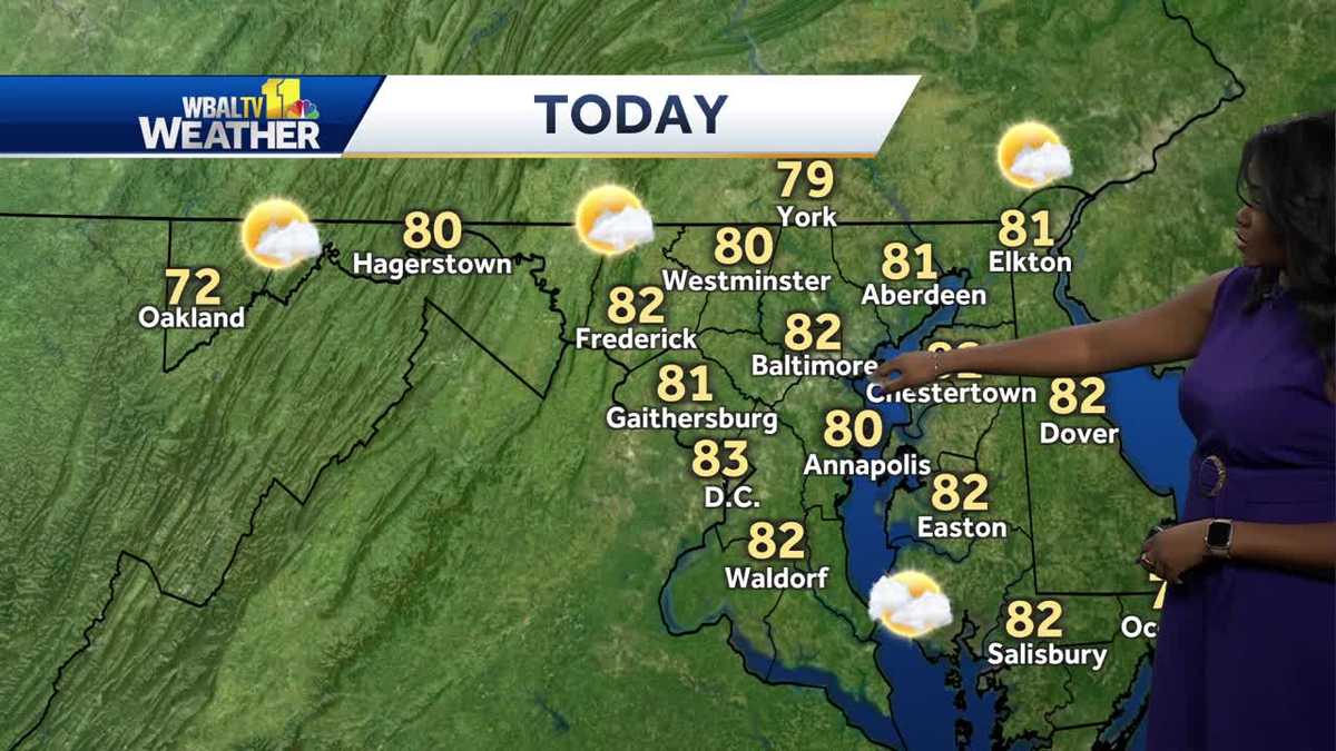 Mild and dry with more wet weather on the way