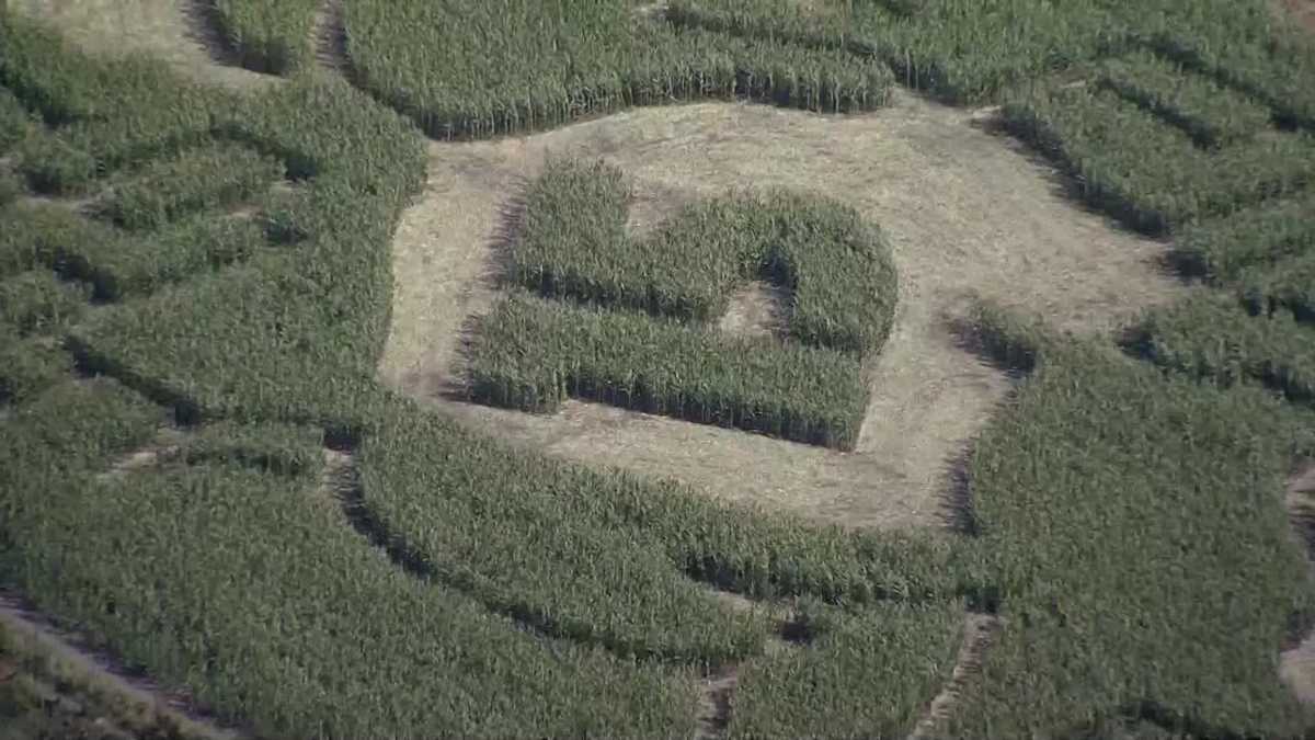 Patrick Mahomes corn maze in Belton, Missouri