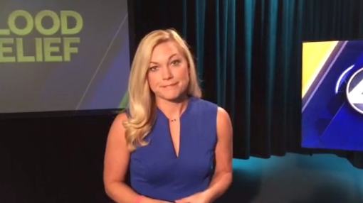 Allyson Powell on why you should donate to '4 Flood Relief"