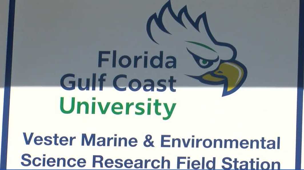 FGCU's Vester Field Station back to normal operations after Ian