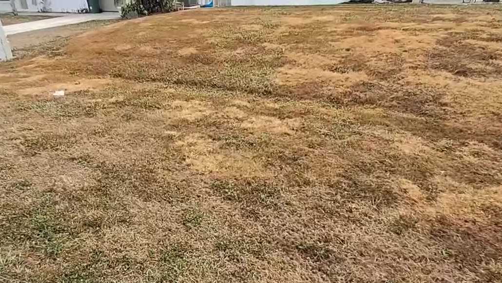 Lee County extends burn ban as drought conditions persist