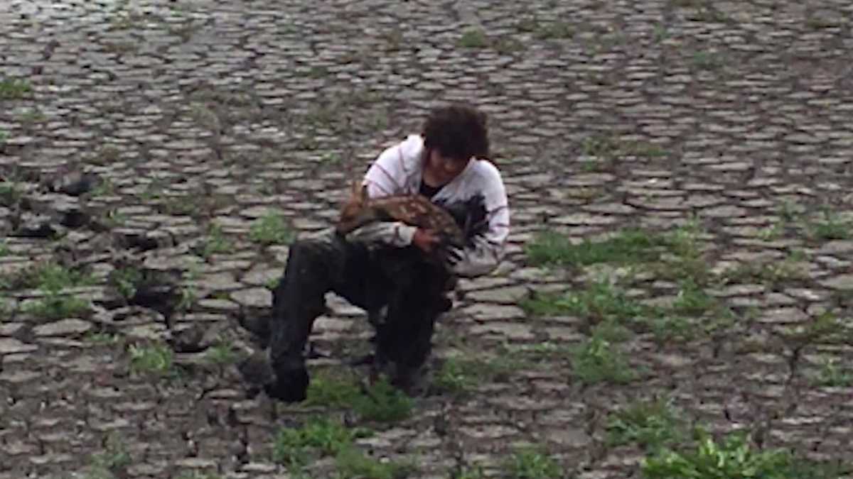 Man wades through 100 yards of sewer sludge to rescue tired fawn