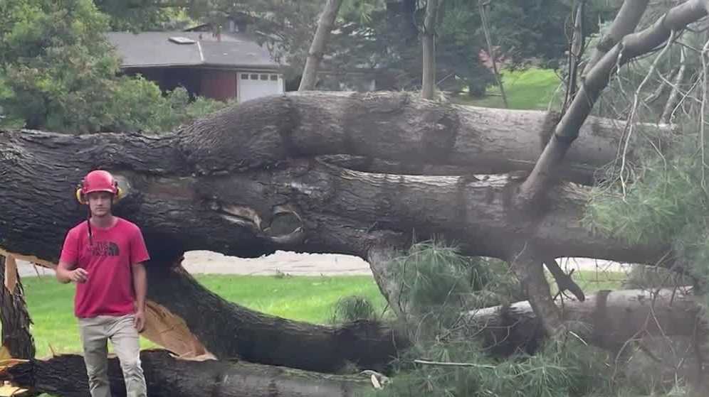 STORM CLEANUP: City of Omaha to expand curbside debris collection