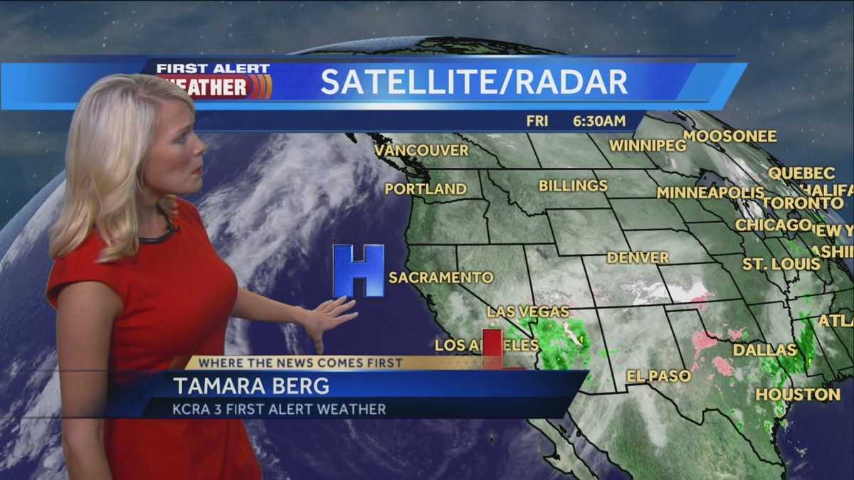 Tamara's Forecast 11.22.13