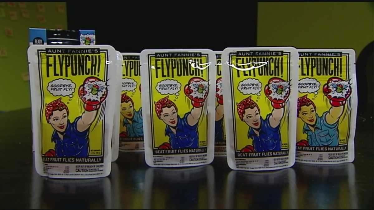 Fruit Fly Punch goes global