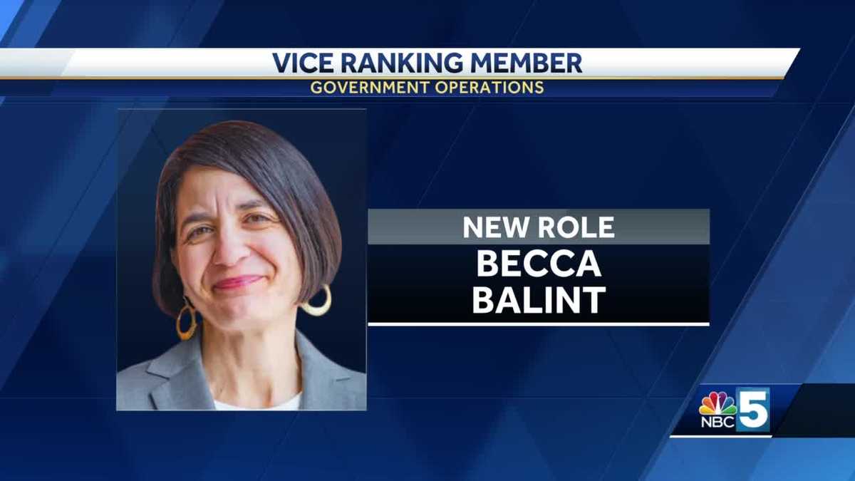 Rep. Becca Balint takes new position in government operations