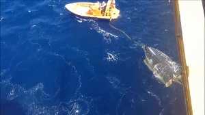 Video: Austin Stephanos' boat being pulled from water