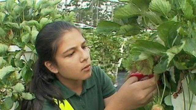 Video: Pine Jog Elementary