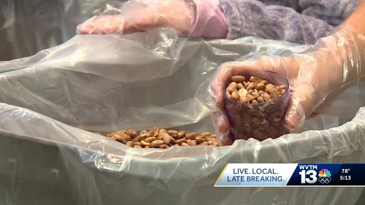 Samford University fraternity and UnlessU students package meals for ...