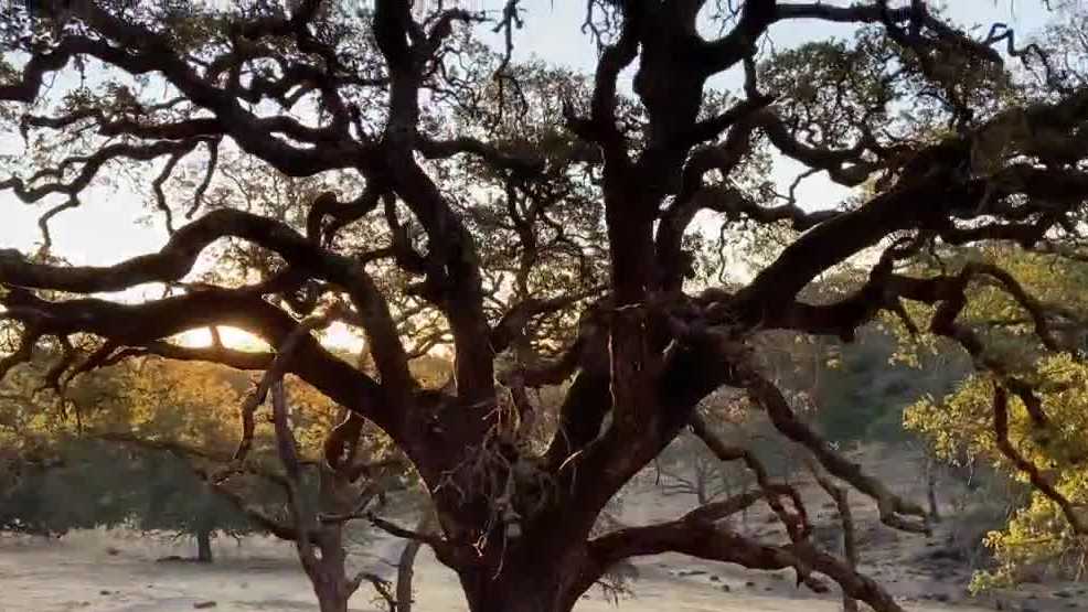 Explore Outdoors: Rockville Hills Regional Park in Solano County